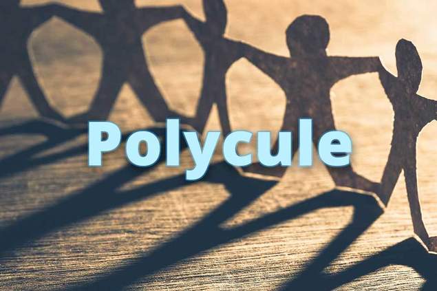POLYCULE Slang Meaning | Merriam-Webster